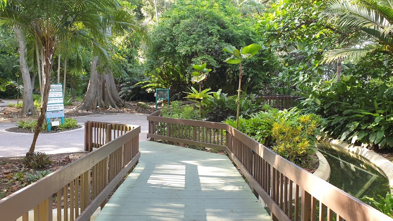 a tranquil wooden bridge over a water feature amidst the verdant landscape of flamingo gardens