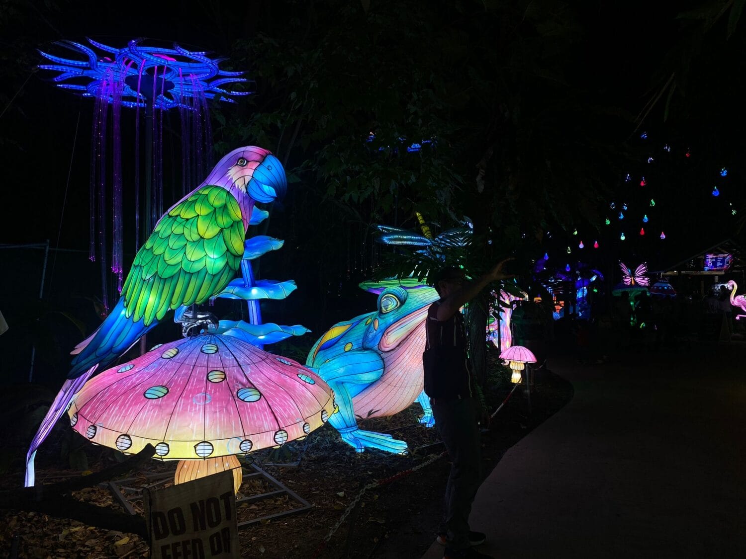 a vibrant night time display featuring a large illuminated parrot perched on a colorful mushroom with a backdrop of glowing jellyfish and suspended raindrop lights