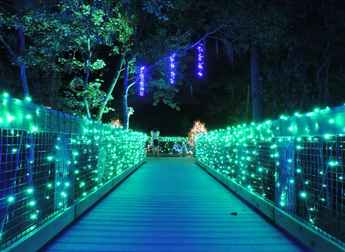 a walkway adorned with twinkling holiday lights
