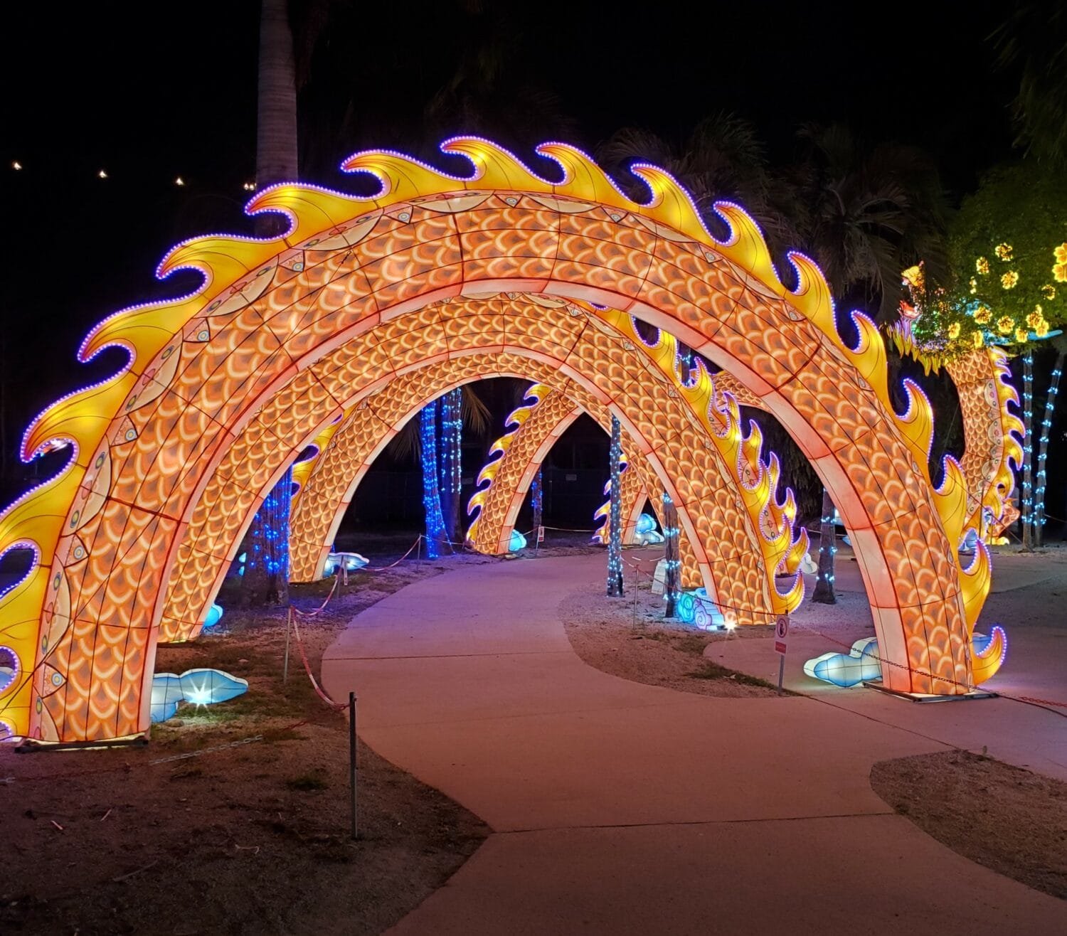 a whimsical lit archway designed to resemble an orange sea dragon in the luminosa festival