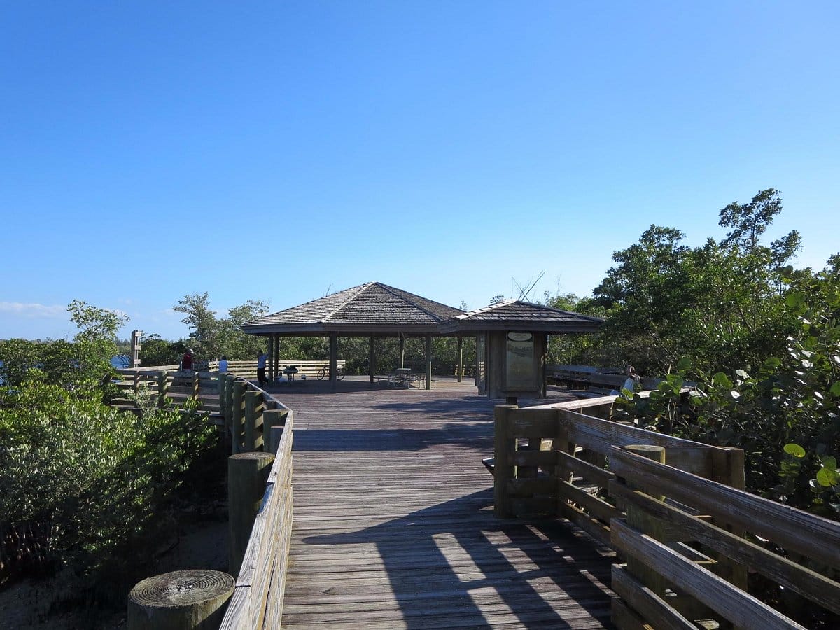 a wooden boardwalk leading to a gazebo surrounded by dense greenery under a clear blue sky