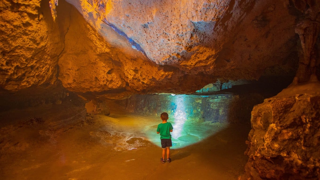 a young explorer standing in awe inside the cavernous expanse of florida caverns state park illuminated by colorful lights