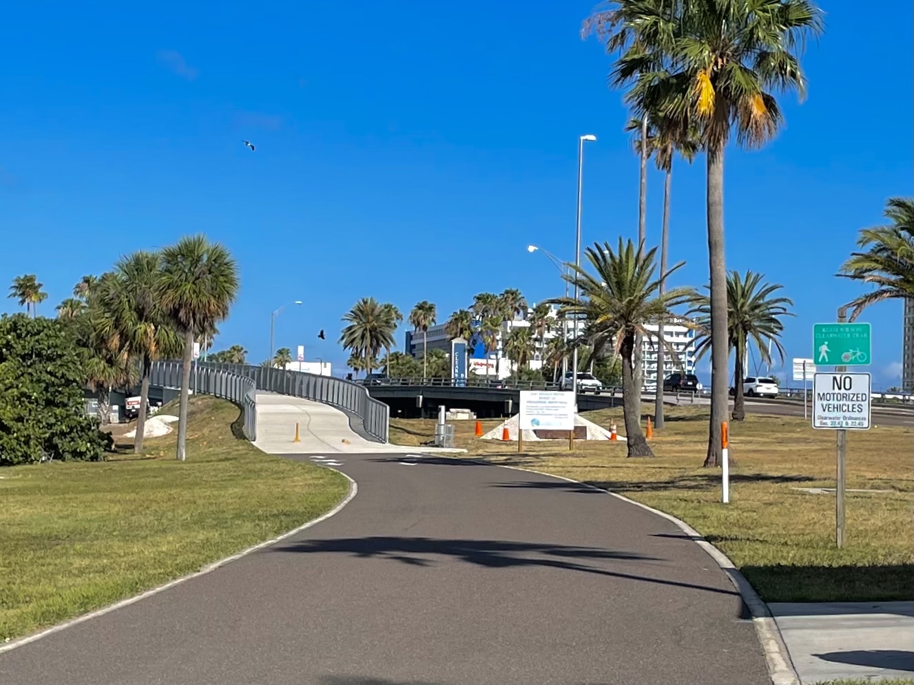 an image of the trail in clearwater beach with trees beside the path on a clear day