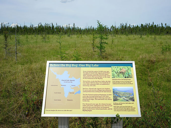 big bog state recreation area 6