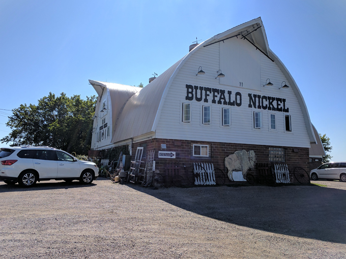 buffalo nickel 9