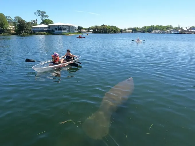 Crystal River 3