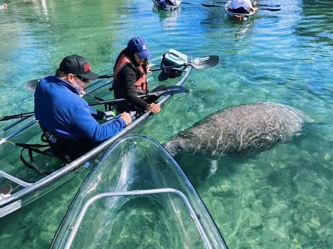 Crystal River 5