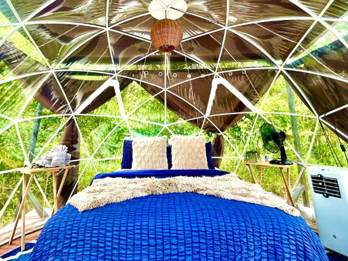 Dome Airbnb 3