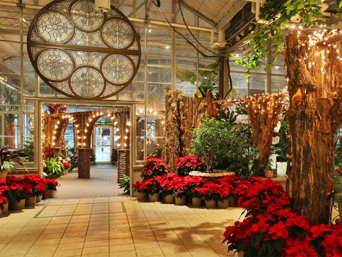 Witness The Enchanting Garden Christmas Lights At Michigan's Frederik