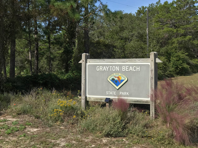 Grayton Beach State Park 1