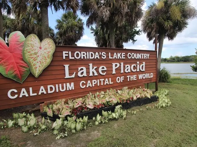 Lake Placid 1