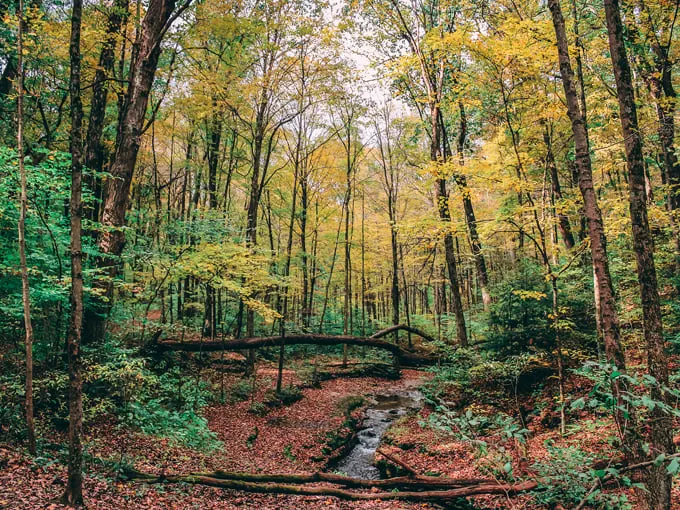 Maine 6