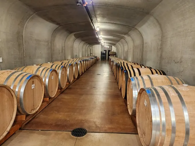 mari vineyards 3