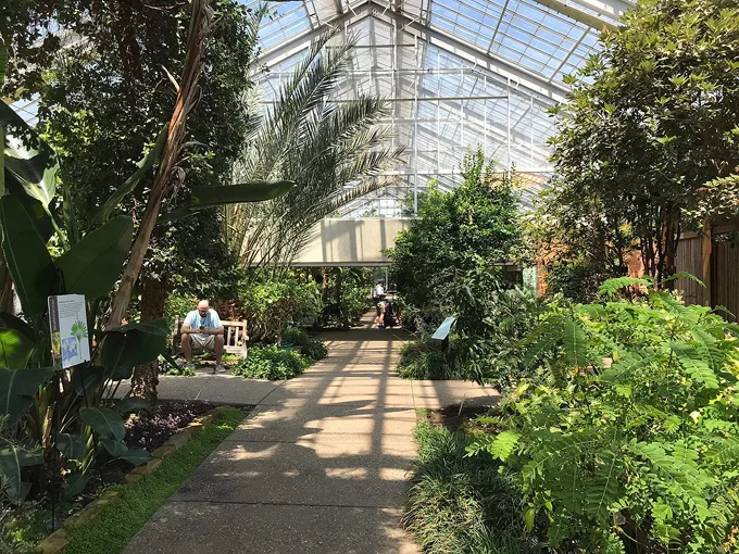 matthaei botanical gardens 2