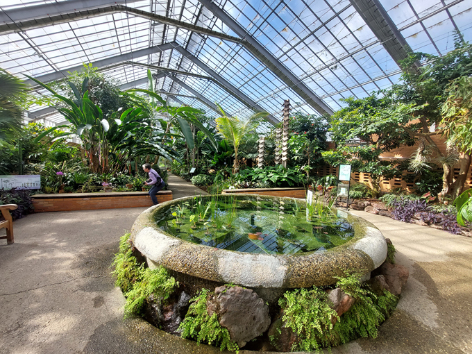 matthaei botanical gardens 3