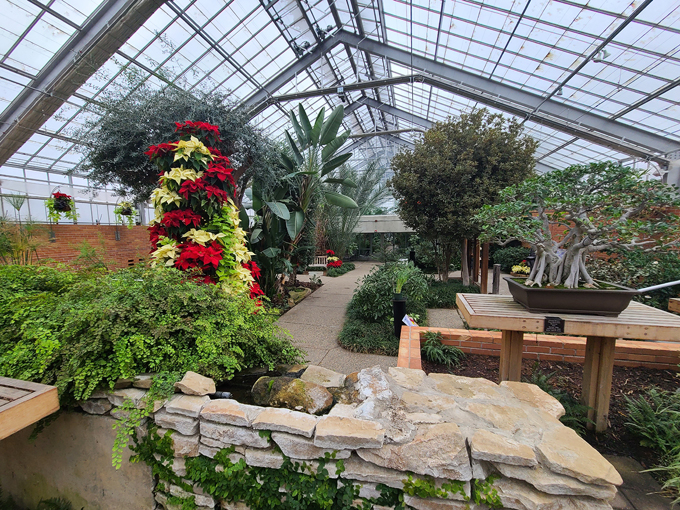 matthaei botanical gardens 4