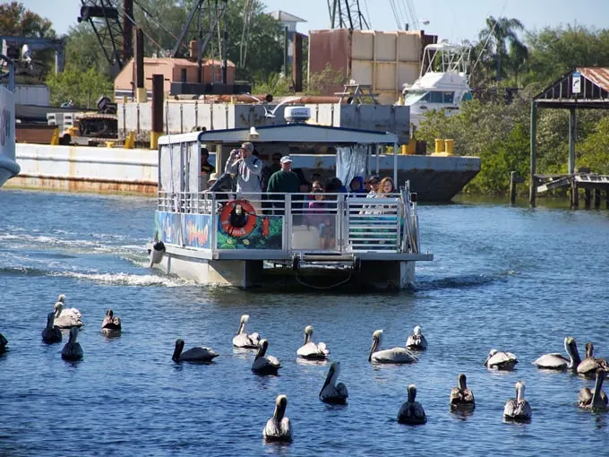 Odyssey Cruises 3