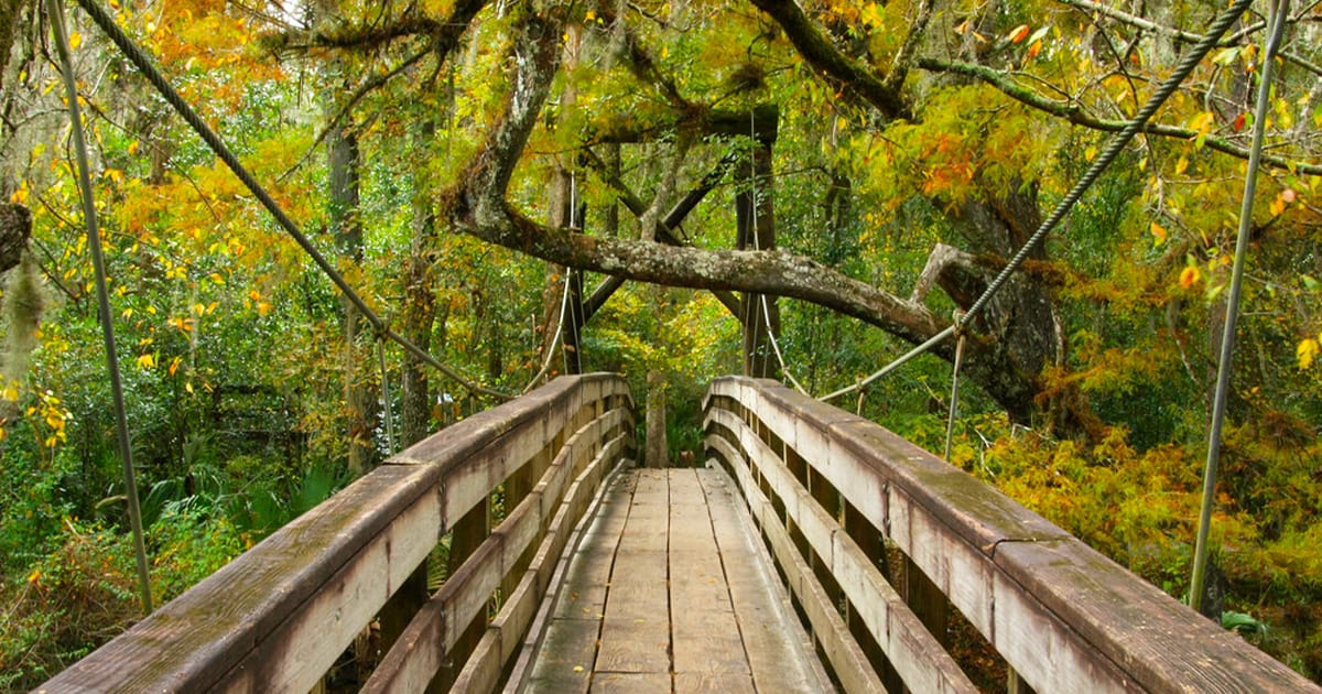 one of the most beautiful hiking bridges in florida