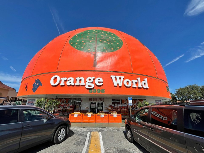 Orange World 1