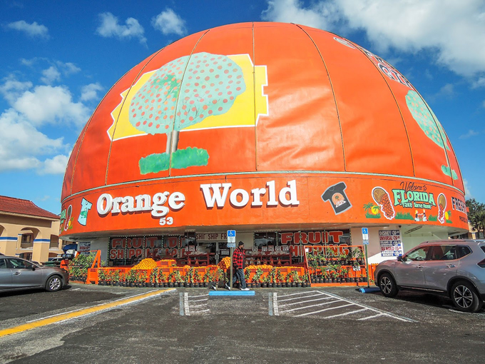 Orange World 10