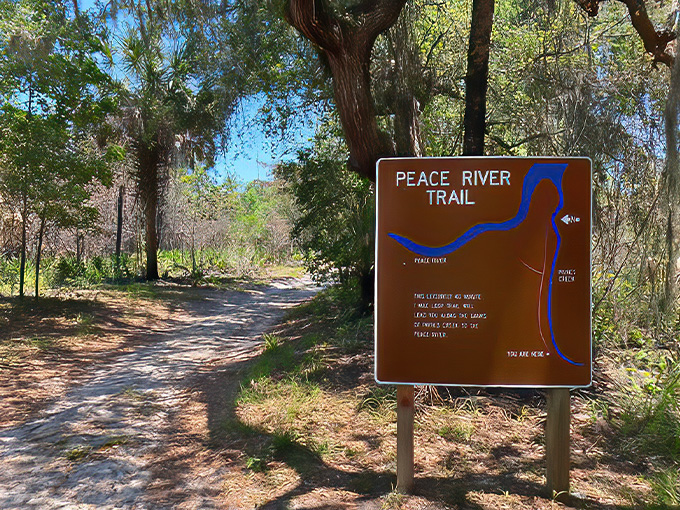 Peace River 1