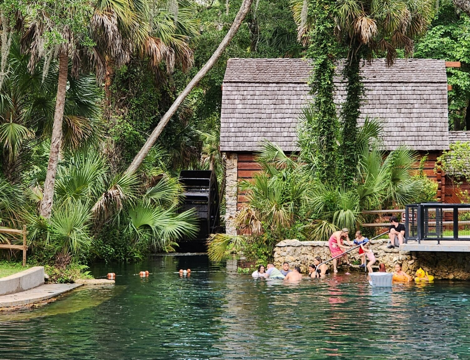 people enjoying a refreshing swim in the clear waters of juniper springs near an old millhouse