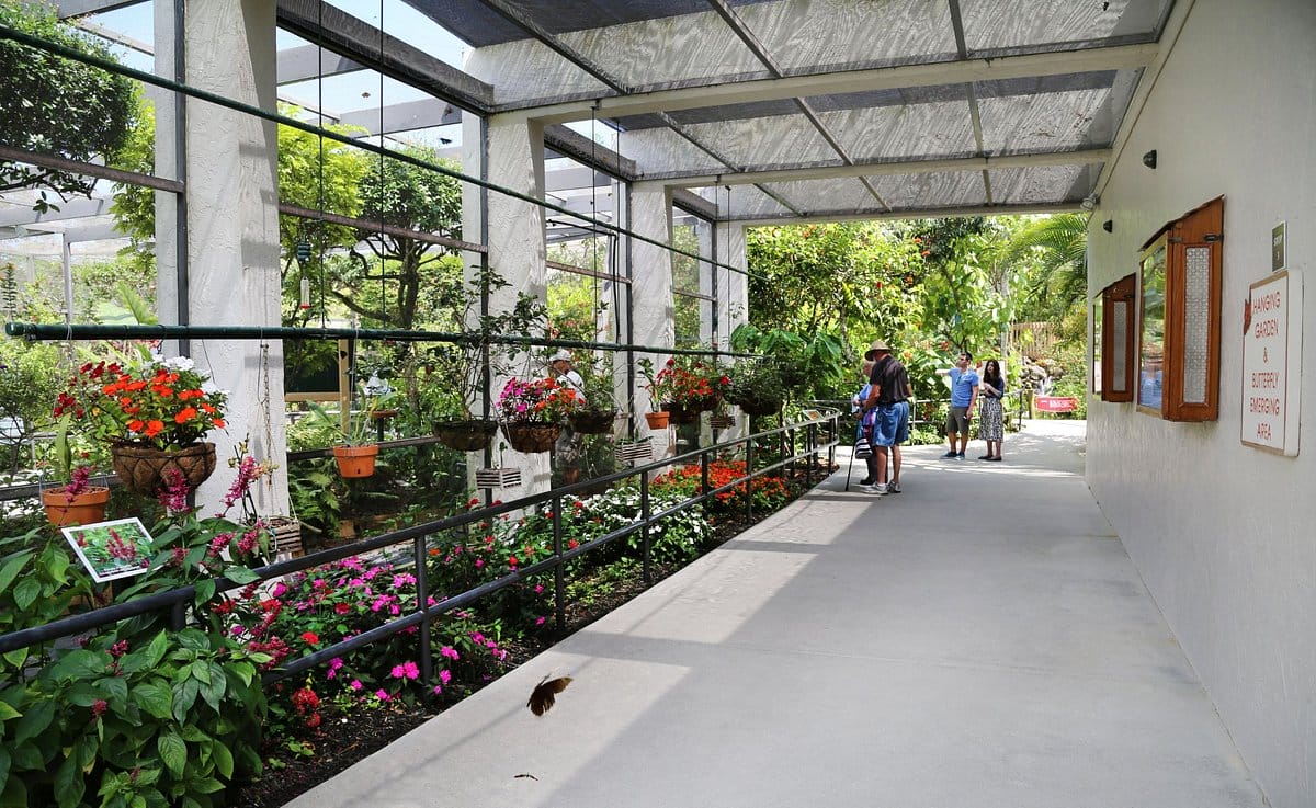 People enjoying in the hanging garden and butterfly area