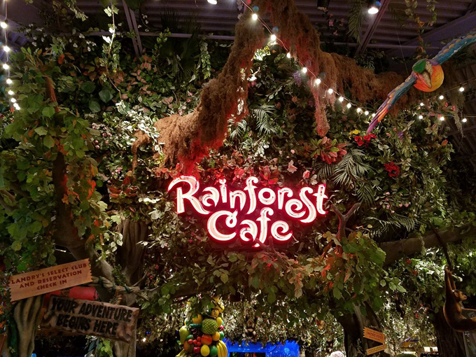rainforest cafe 1
