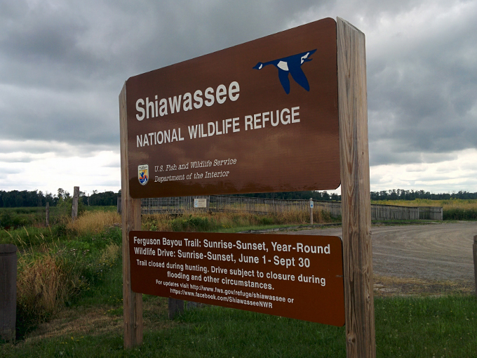 Shiawassee National Wildlife Refuge 2