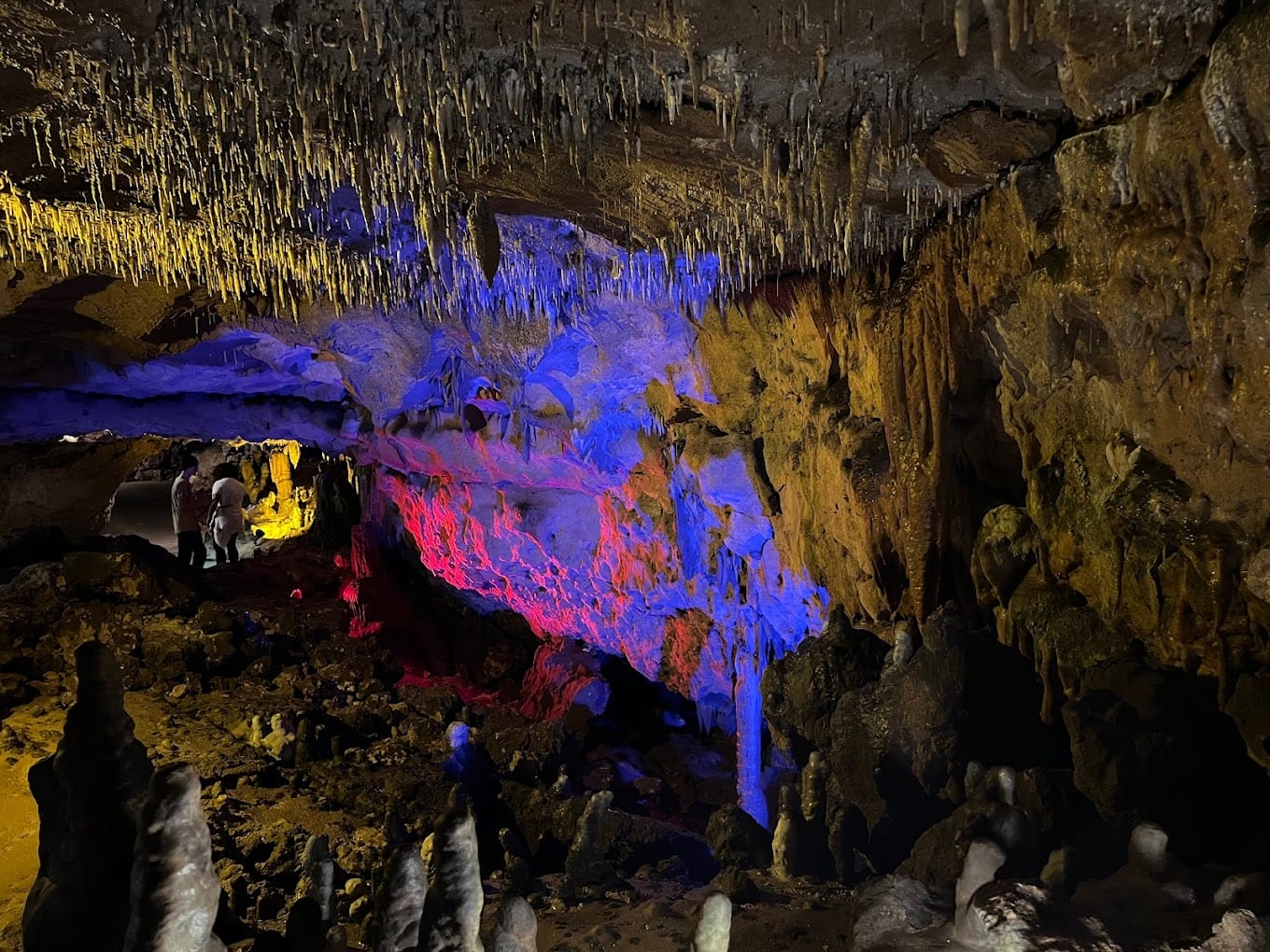 stalactites and vibrant lighting create an otherworldly atmosphere within the caves of florida caverns state park