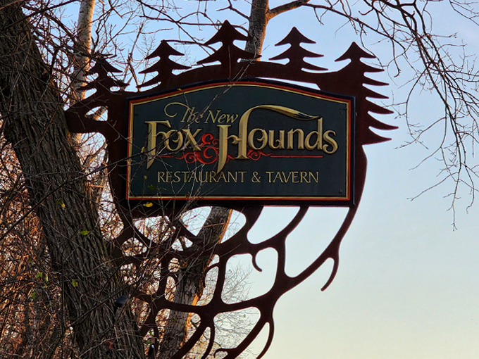 the fox hounds 1