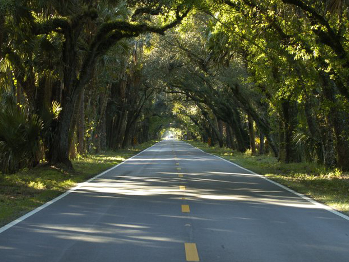 This 12-Mile Scenic Drive In Florida Will Give You An Unforgettable ...