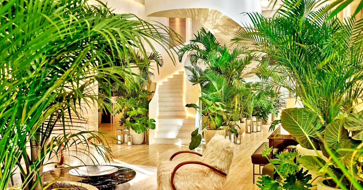 the tampa edition interior filled with lush green plants, elegant furniture, and a grand staircase