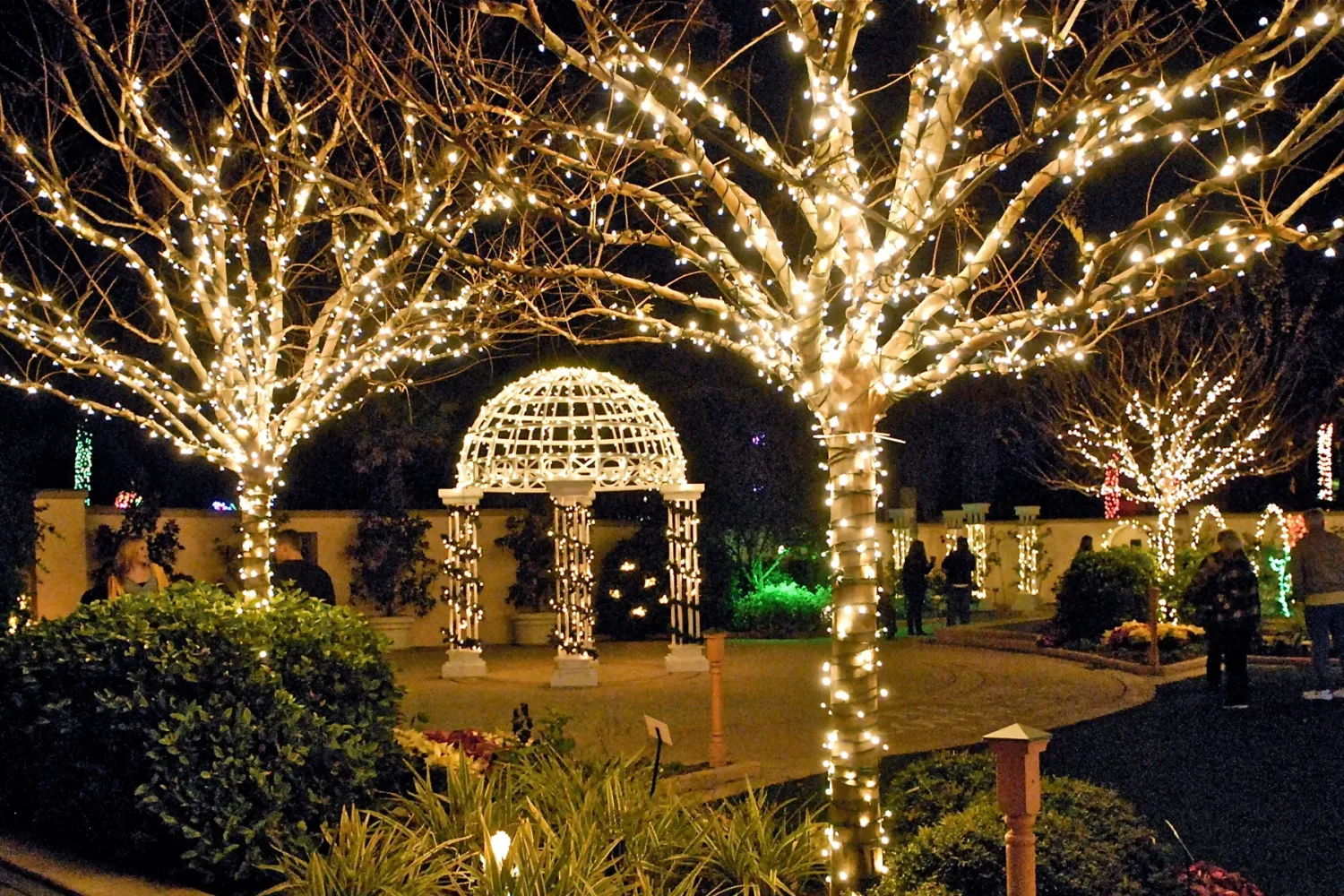 the botanical garden covered with sparkling holiday lights