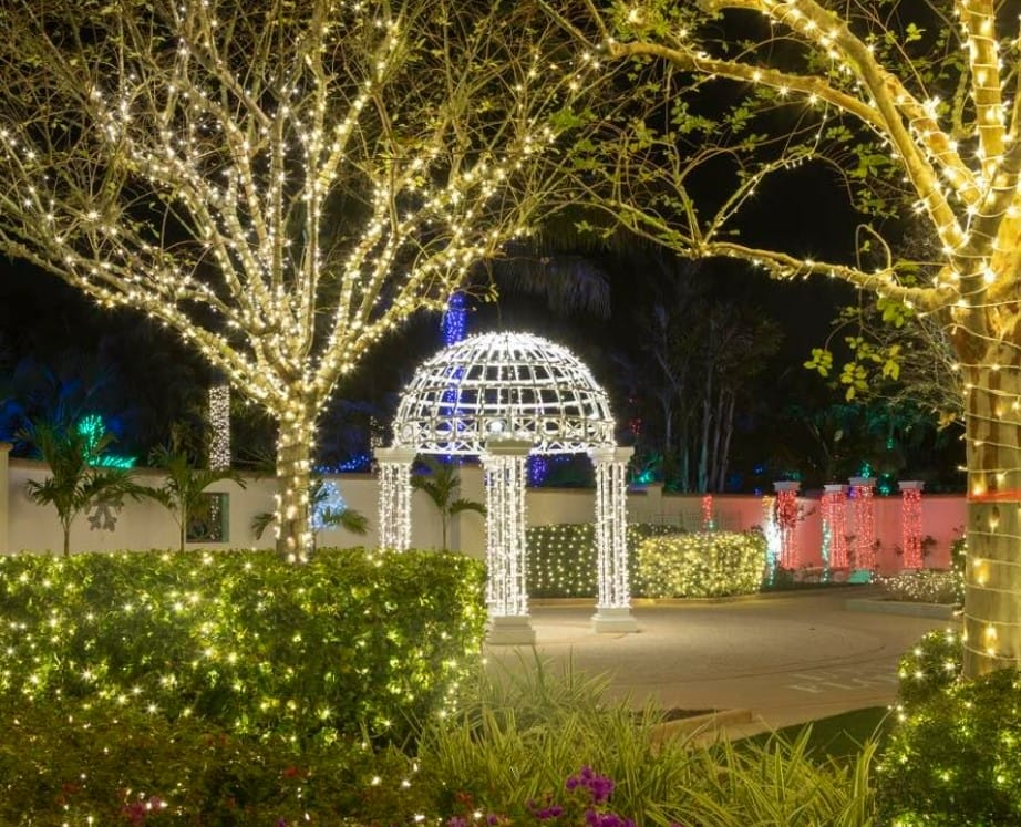 the captivating christmas lights of the garden