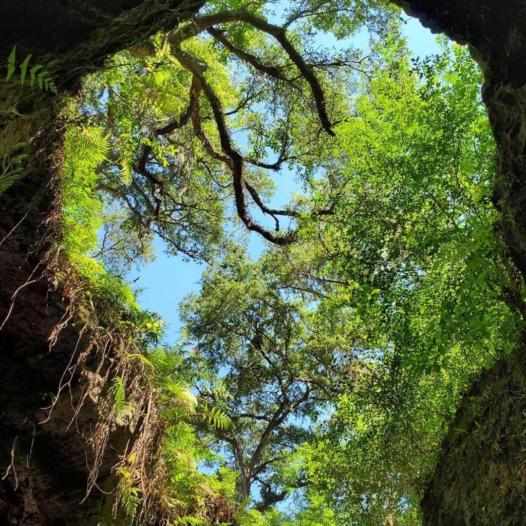 the caves opening with the view of trees and the blue sky