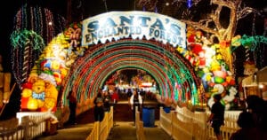 the colorful displays of santa's enchanted forest