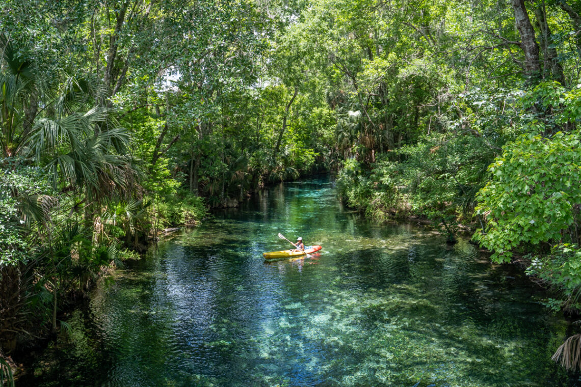 the enchanting Silver Springs State Park