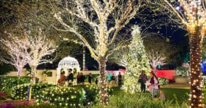 the enticing lights of the florida botanical gardens