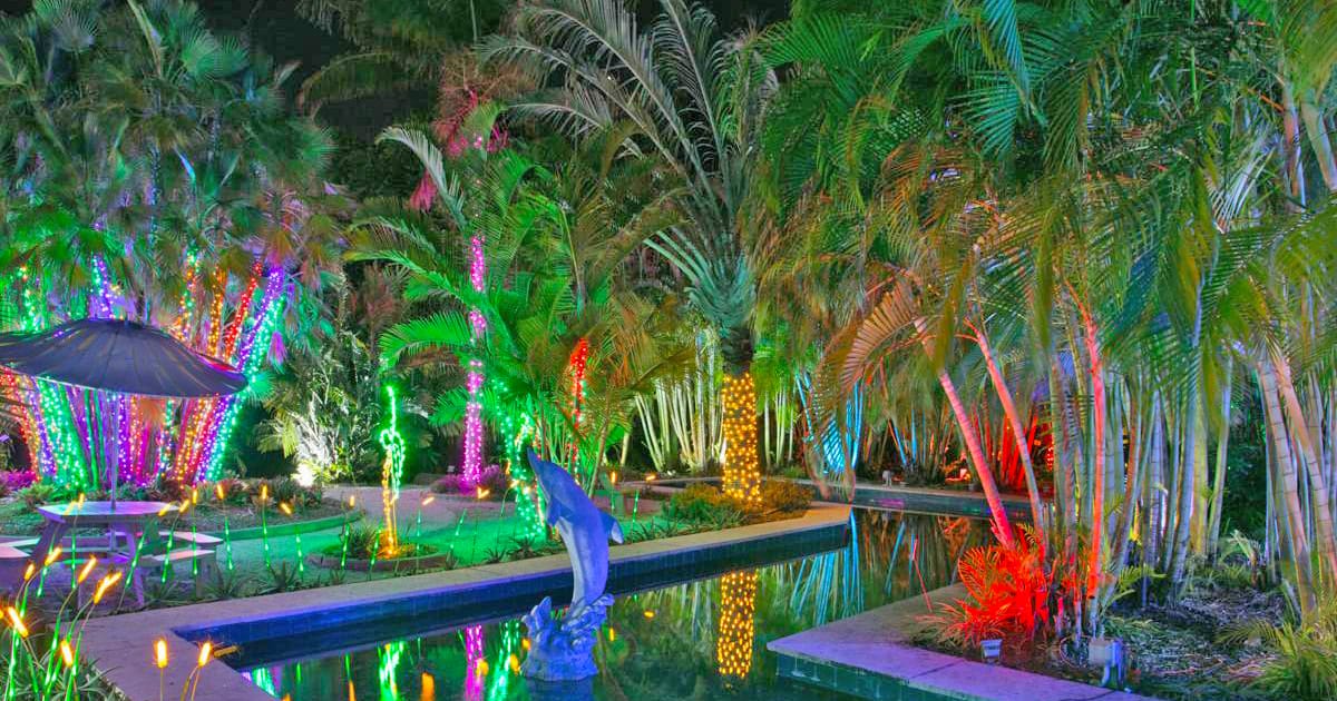 The festive lights in Florida Botanical Gardens