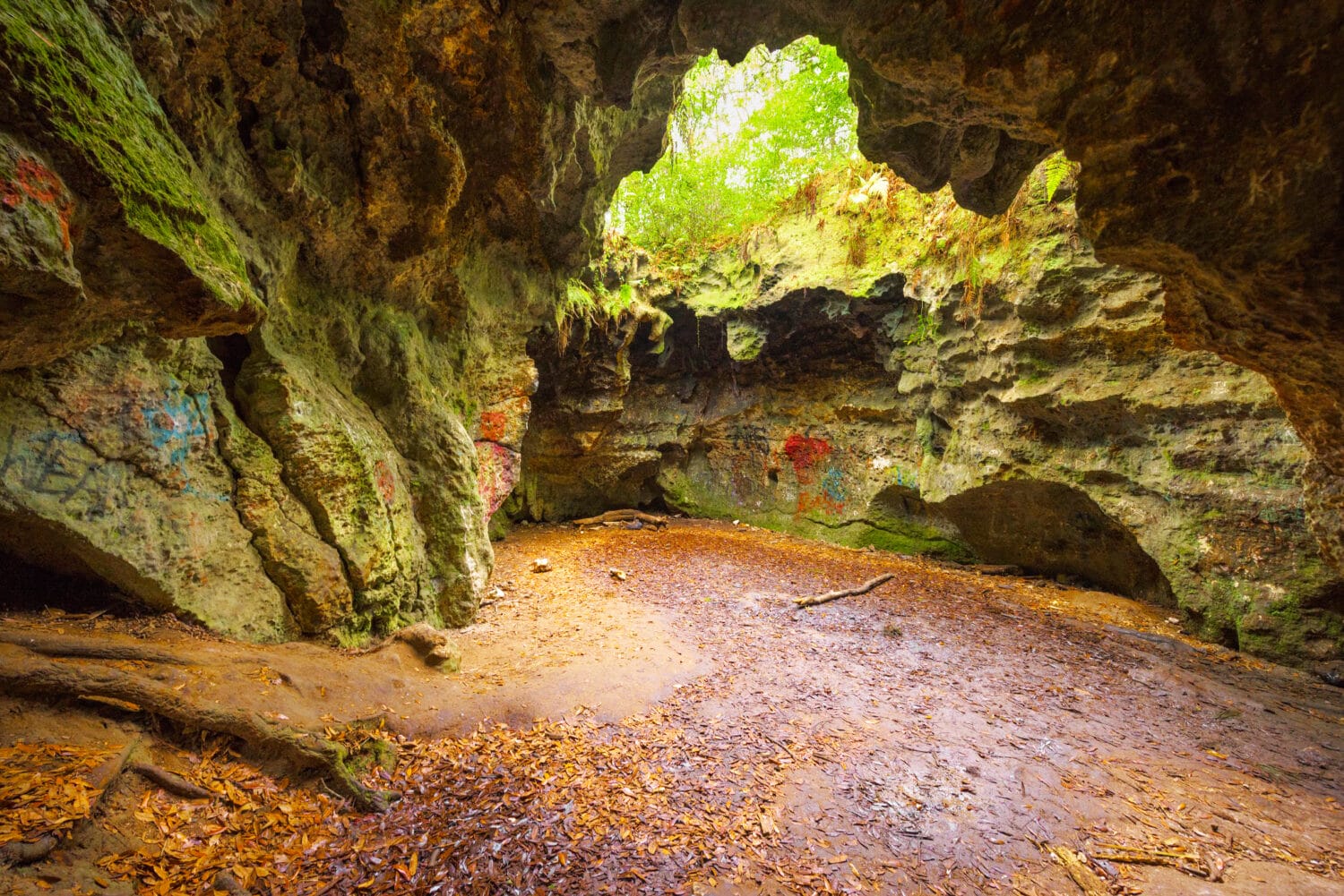 The incredible dames cave which is part of the series of caves along the Lizzie Heart Sink Loop trail.