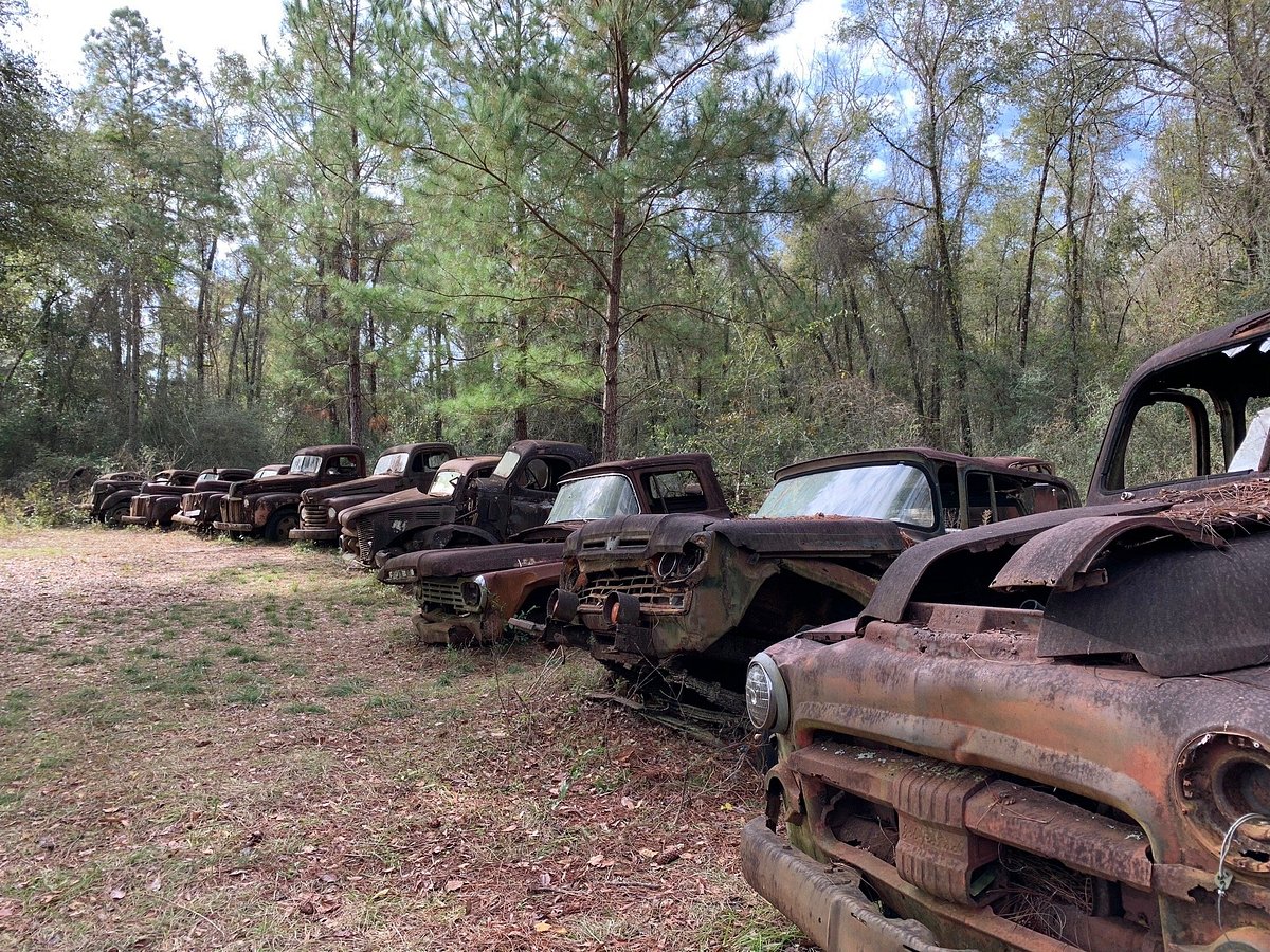 The rusty cars displayed in the roadside rusted ford trucks