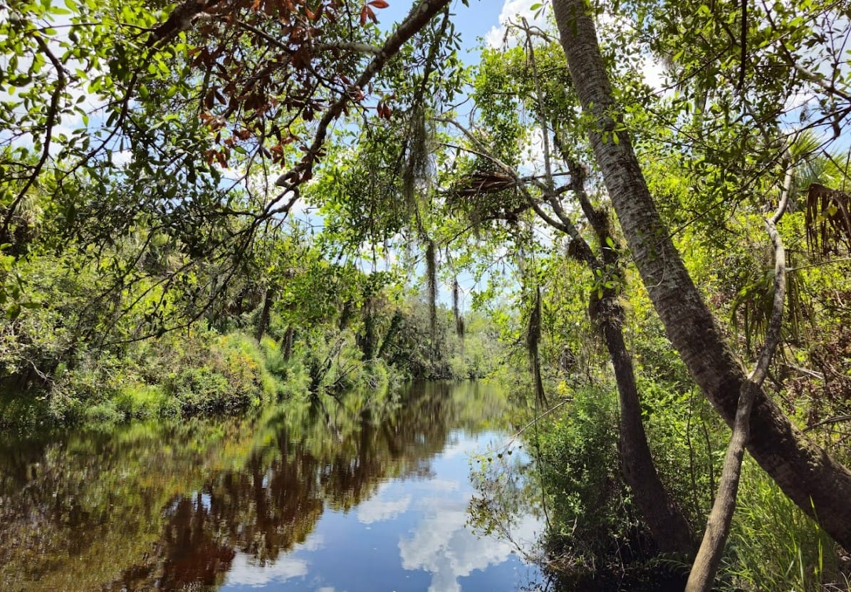 the scenic natural beauty of little manatee river state park