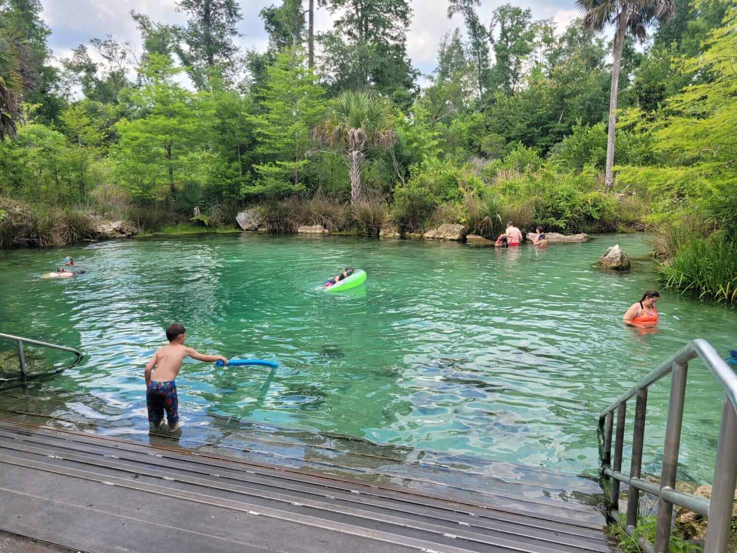 the spring surrounded by trees with families enjoying a good swim