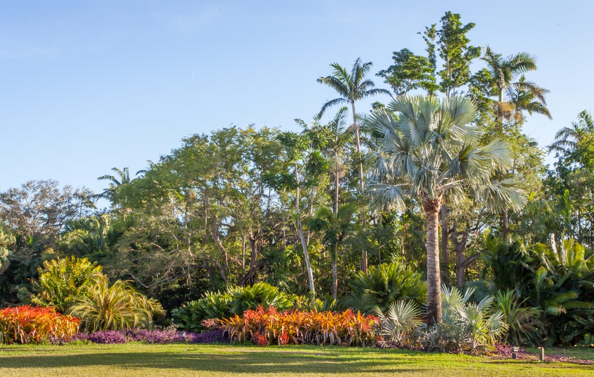the stunning flora in fairchild tropical botanic garden