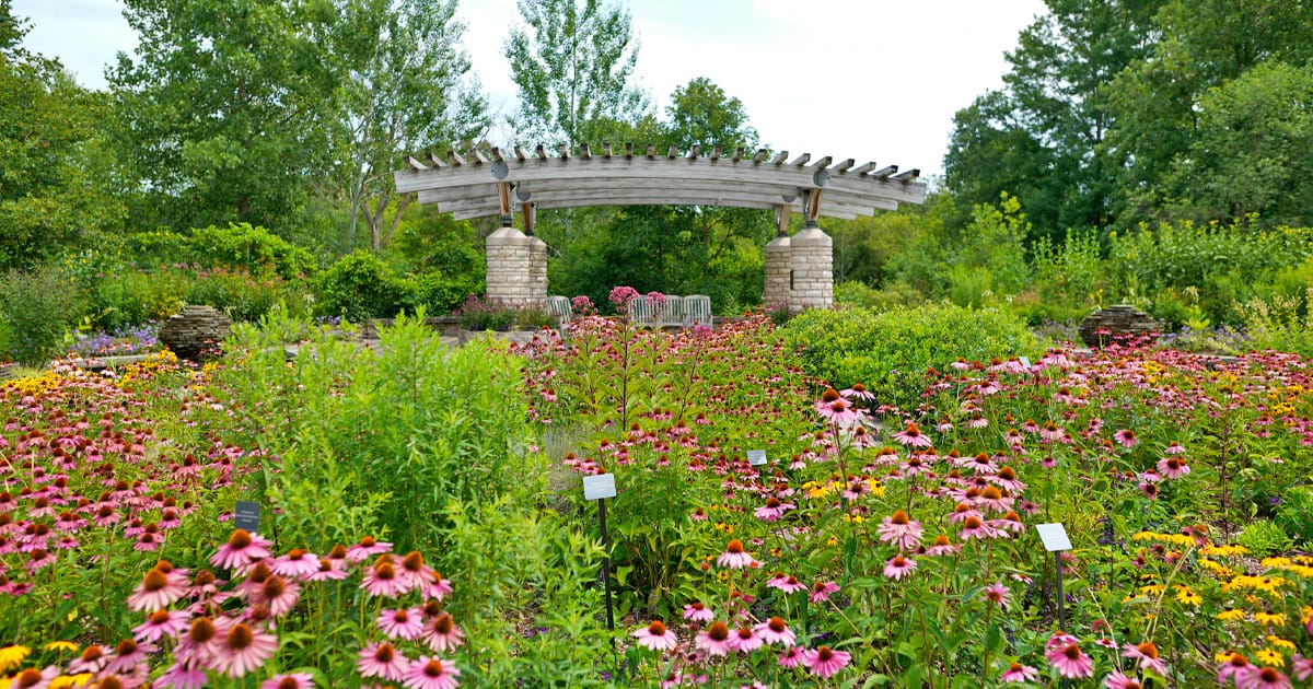 the vibrant mattaei botanical gardens filled with a variety of colorful flowers, leading to an elegant stone archway, evoking a sense of peace and natural beauty