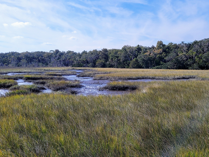 Timucuan Ecological and Historical Preserve 1