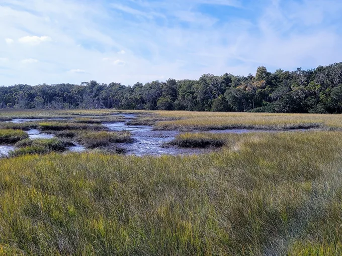 Timucuan Ecological and Historical Preserve 1