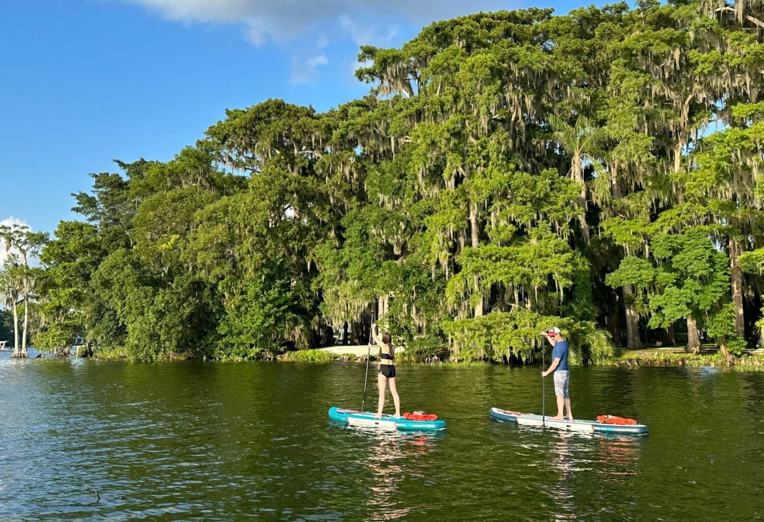 two people paddleboarding on a calm river surrounded by lush greenery and draped spanish moss