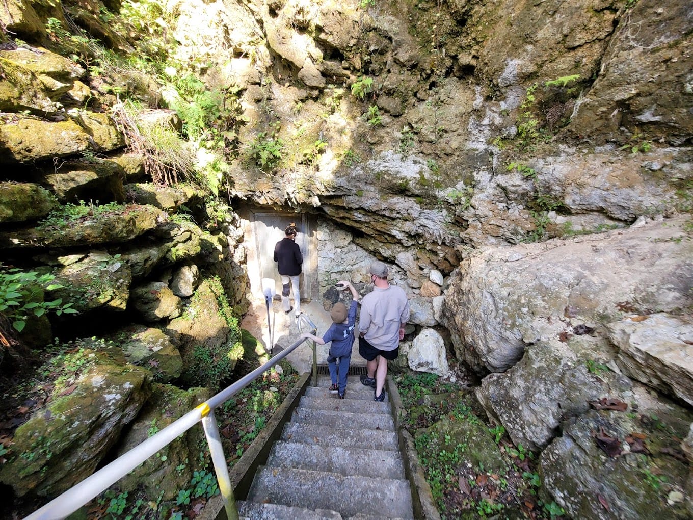 visitors descending steps into the mouth of a cave at florida caverns state park surrounded by natural rock formations